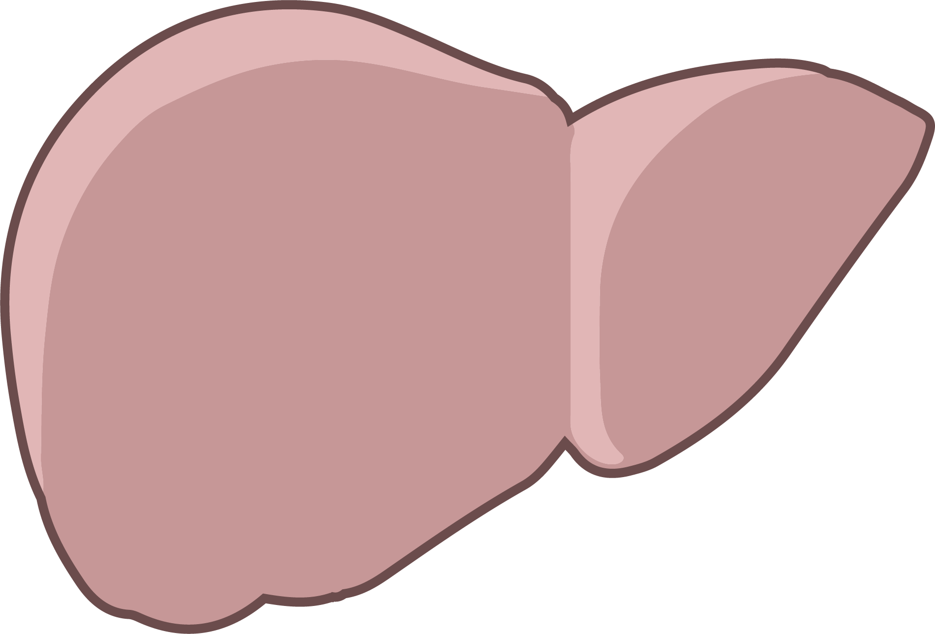 CureOTCD has partnered up with a researcher in Australia to develop a proof-of-concept model for ...